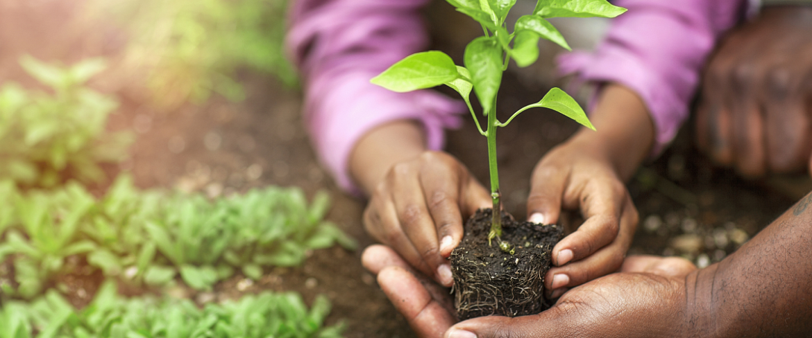Growing Healthy Food and Healthy Kids - Feed Your Potential